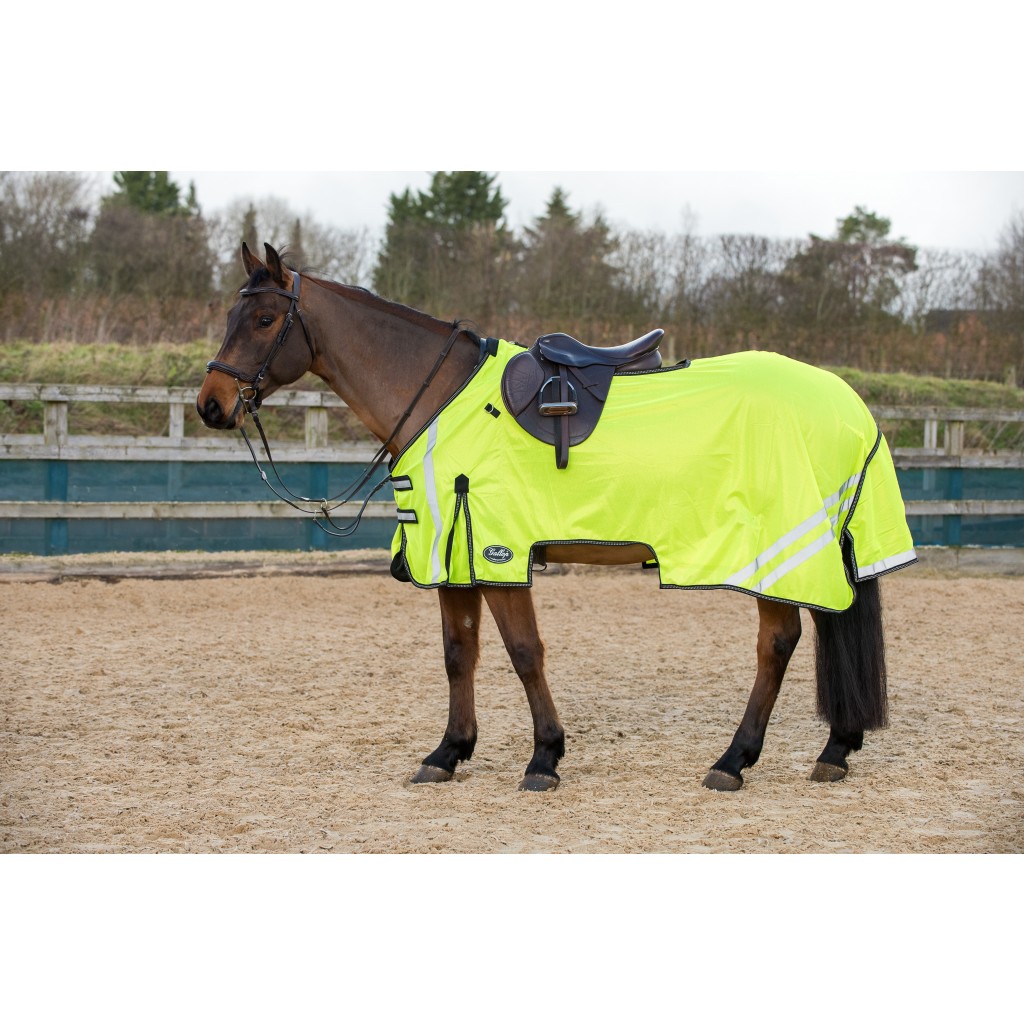 GALLOP Ride-On Fly Mesh Rug & Neck Set